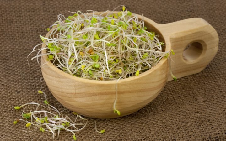 🍀♻️ Chía - Semillas de chía propiedades beneficios y contraindicaciones